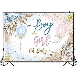 Avezano Boy or Girl Gender Reveal Backdrop Pink or Blue Balloons Gender Reveal Party Decorations Boho Pampas Grass Oh Baby Sign Photoshoot Background Banner (7x5ft)