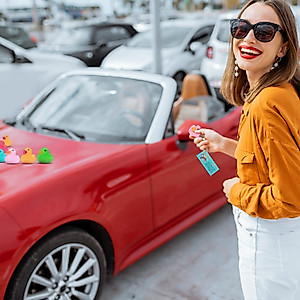 60 Pcs You've Been Shunned Cards with Rubber Ducks and Strings Small Rubber Duckies with Duck Card Tags Mini Rubber Ducks Bulk for Car Street Toy Party Game Decor Assorted Colors (Simple Style, Paper)