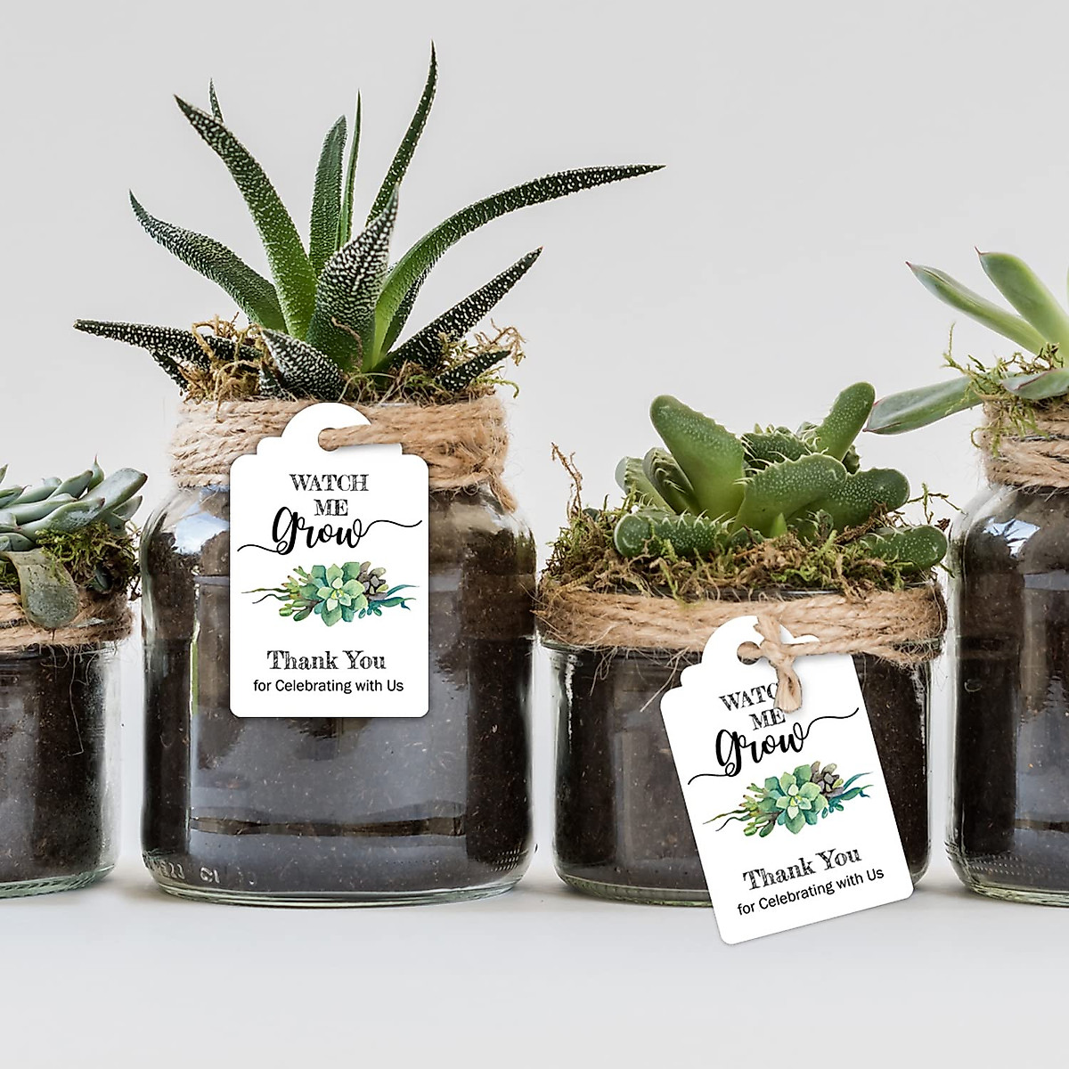 Watch Me Grow Tags for Baby Shower Succulents, Baby Shower Thank You Tags, Baby Shower Favor Tags, 1.7 x 2.8 Inch, 50 Pack with Golden Ribbon.