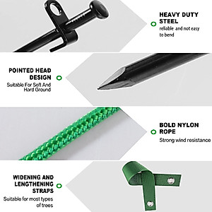 Guyuewey Heavy Duty Tree Stake Kits, Tree Stakes for Young Trees Straightening, Garden Tree Supports for Leaning Tree Outdoor, 3Pcs Tree Straps, 3Pcs Metal Stakes, 3Pcs Rope for Anchoring (1)