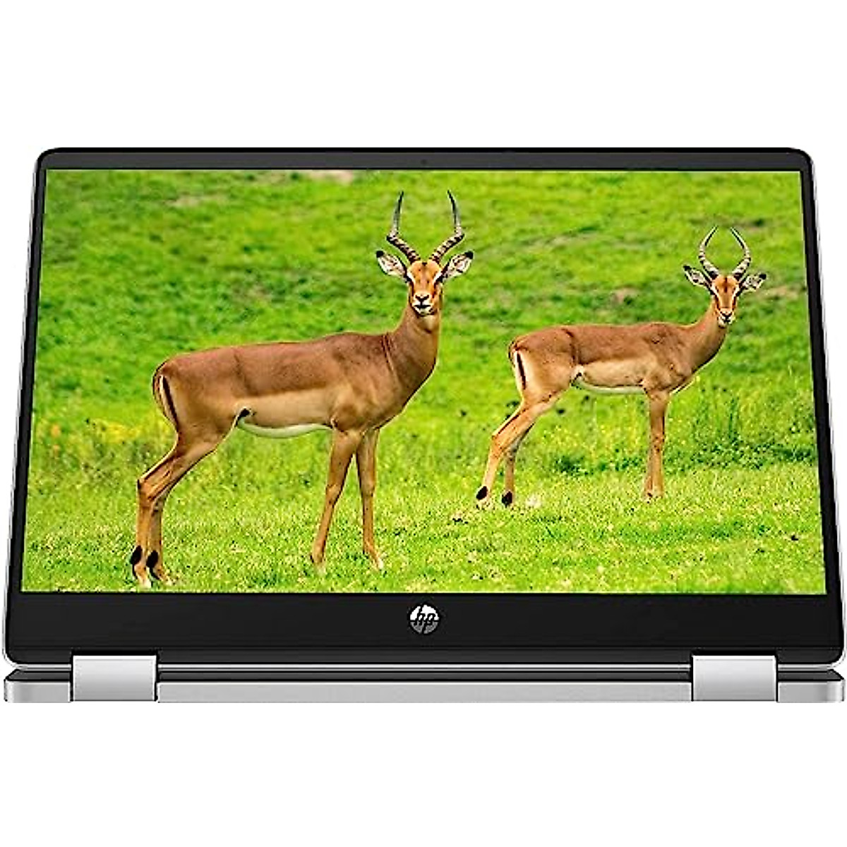 HP Premium Convertible 2-in-1 Chromebook, 14" HD IPS Touchscreen, Intel Celeron N Processor up to 2.78GHz, 4GB Ram, 64GB SSD, Super-Fast WiFi, Chrome OS, Arctic Silver Color (Renewed)