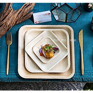 Disposable Palm Leaf Plates 6 Inch / 25 Pack. All Natural Compostable, Biodegradable and Eco Friendly Dessert Party Plates - Comparable to Bamboo or Wood - Great for Outdoor Parties, Weddings and BBQs