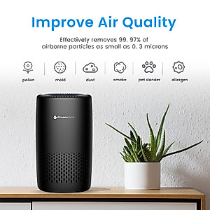 Dreamiracle Purifier Replacement Filter