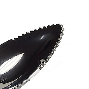 Chef Craft Serrated Grapefruit Spoon, 6.5 inches in length 2 piece set, Stainless Steel