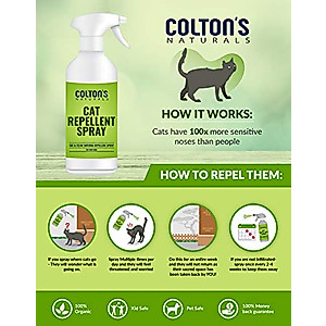 Cat Repellent Outdoor Spray Indoor 32 OZ 100% Organic & Natural Yard Furniture Repellant (32)