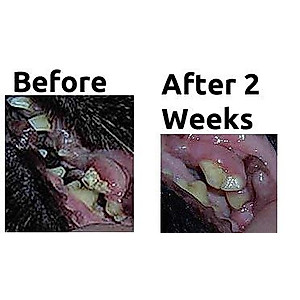 Economy Sized Refill