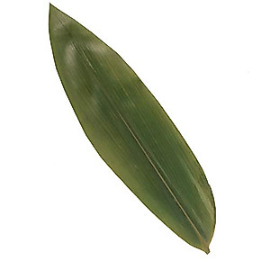 BambooMN Bamboo Leaves for Cooking Zongzi, Banana Leaf Alternative, Grilling/Barbeque, Natural Boiling Bags - 12.25 x 3.5 Inches - 100 pack