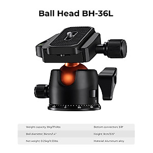 K&F Concept 64 inch/163cm Carbon Fiber Camera Tripod,Lightweight Travel Tripod with 36mm Metal Ball Head Load Capacity 8kg/17.6lbs,Quick Release Plate,for DSLR Cameras Indoor Outdoor Use K254C2+BH-36L