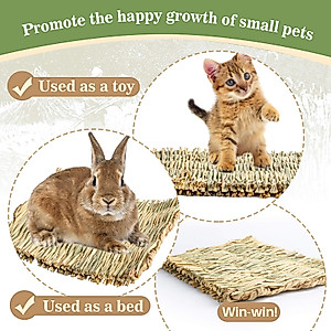 Sukh 2 PCS Rabbit Grass Mats - Natural Hay Woven Bunny Rabbit Bad Cage Mats Pet Bedding Cooling Sleeping Nesting & Toys for Hamster Bunny Chinchilla Guinea Pig Mouse Bird and Other Small Animal