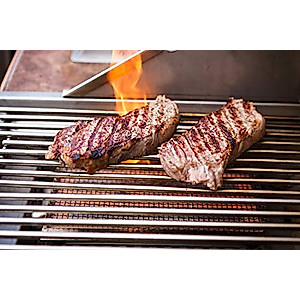 Bull Outdoor Products 20505 Searing Burner, 304 Stainless Steel