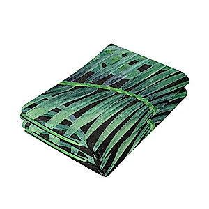 susiyo Bright Green Tropical Leaves Hand Towels Set of 2 Luxury Print Decorative Bathroom Towels Super Soft Highly Absorbent Multipurpose Towels for Yoga Gym Spa Hotel Bathroom Kitchen 28x14 Inch