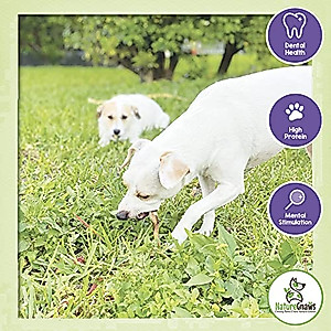 Nature Gnaws - Braided Twists for Dogs - Premium Natural Beef Dog Chew Treats - Combo of Bully Sticks and Beef Gullet - Long Lasting Training Reward