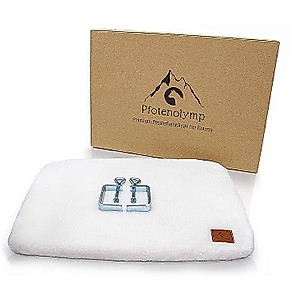 Pfotenolymp Premium Window Sill - Bed Board for Cats at The Window - Window Bed - Cat Bed for The Window Cat Perch - Bed - Bed for Cats