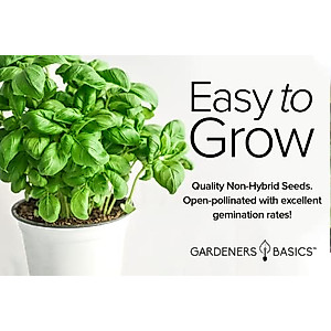 Basil Seeds for Planting Home Garden Herbs - 5 Variety Herb Pack Thai, Lemon, Cinnamon, Sweet and Dark Opal Basil Seeds Herb Seeds for Indoors, Outdoors, Hydroponics & Aquaponic by Gardeners Basics