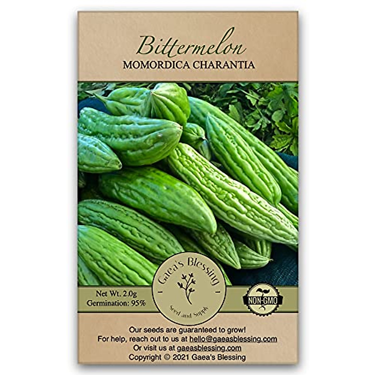 Gaea's Blessing Seeds - Bitter Melon Seeds - Bitter Gourd Heirloom Non-GMO Bittermelon Seeds with Easy to Follow Planting Instructions - 92% Germination Rate (Pack of 1)