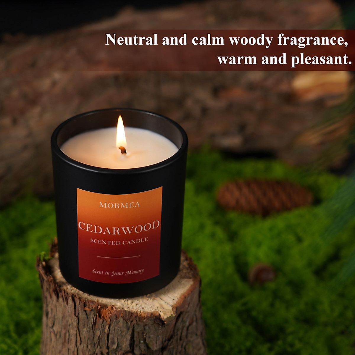 MORMEA Scented Candles, Cedarwood Aromatherapy Candles for Home Scented, Natural Soy Wax Candles, 8oz Long Lasting Candles for Men & Women, Jar Candles for Birthday & Holiday