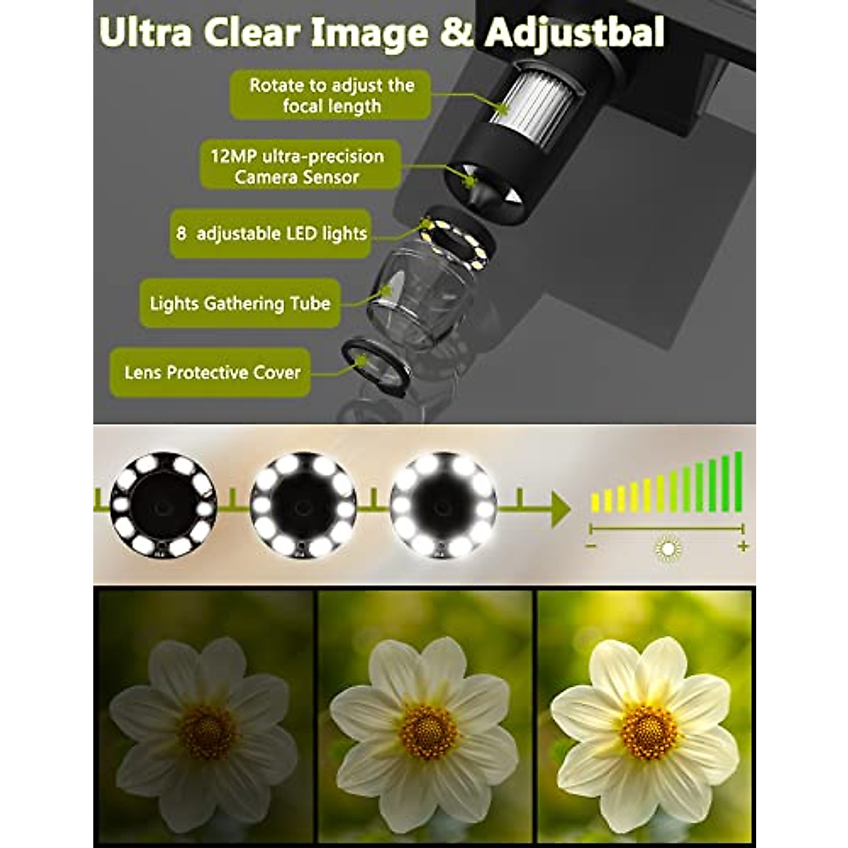 4.3 Inch Digital Microscope, Carenart Coin Microscope with 32GB TF Card 50X-1000X Magnification with 8 Adjustable LED Lights for Adults Kids Outside and Home Use