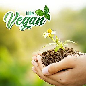 Mystic Moments | Pumice Stone Body Granules Natural Exfolitant 500g Pure & Natural Scrub Vegan GMO Free