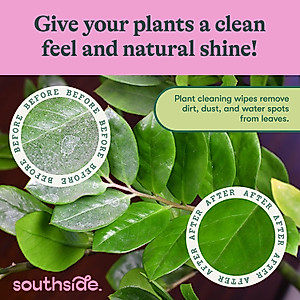 Plant Cleaning Wipes by Southside Plants - Gentle, Plant-Based Wipes for Shiny Leaves and Better Photosynthesis - Unscented, Extra Thick Waffle Weave Leaf Wipes for Indoor & Outdoor Plants - 80 Ct