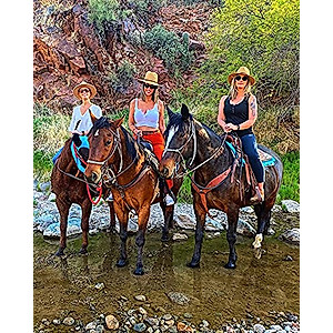 FURTALK Sun Hats for Women Summer Wide Brim UV UPF 50+ Panama Fedora Foldable Packable Straw Beach Hat Medium Beige