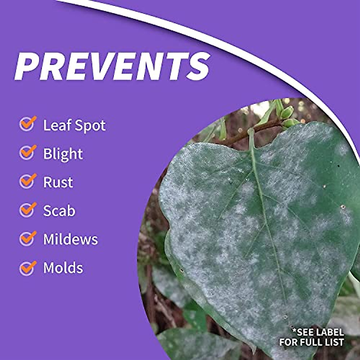 Bonide Products 4410 Ready-to-Use Fungicide, 32-Ounce, Pack of 3