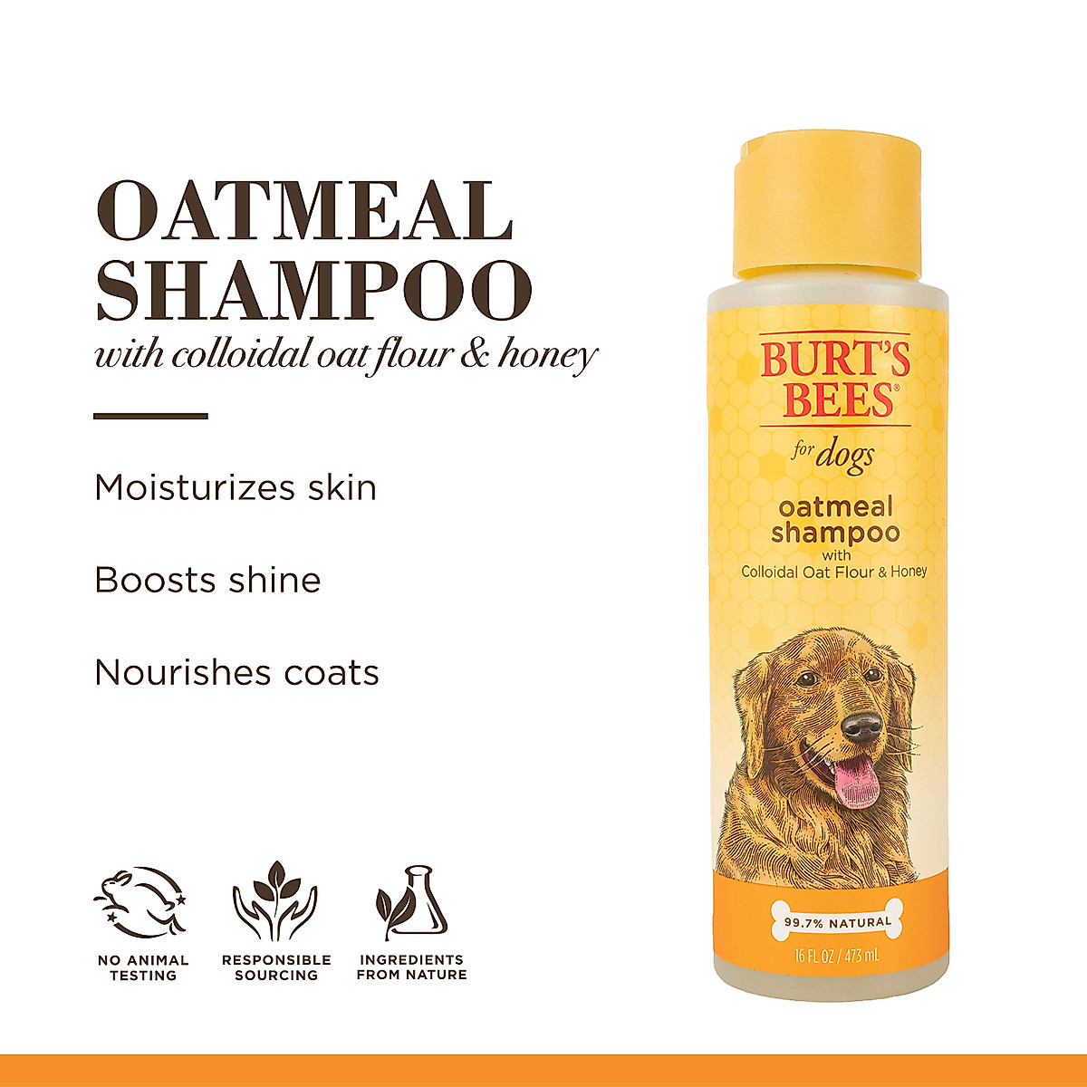 Burt's Bees for Dogs Natural Oatmeal Dog Shampoo with Colloidal Oat Flour & Honey | Moisturizing Oatmeal Dog Shampoo | Cruelty Free, Sulfate & Paraben Free, pH Balanced for Dogs -16 Oz 2 Pack