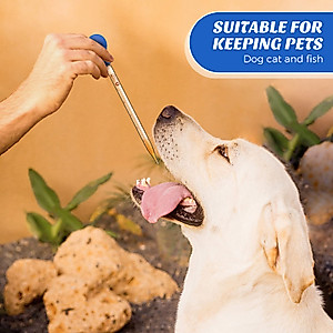 Weewooday Glass Droppers Pipettes Graduated Lab Dropper Glass Liquid Pipette with Big Rubber Hats 20 cm Stir Rod Washing Brush Transfer for Liquid Essential Oil(16 Pieces,Blue,10 ml)