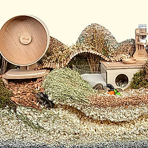 Niteangel 65L Aspen Shaving Hamster Beddings for Syrian Dwarf Hamster Gerbil Mice Degu Rat Rabbit Bunny Guinea Pig Chinchilla Hedgehog or Other Small Pets (65L - 15mm)