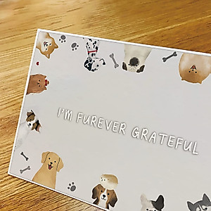 48 Dog Thank You Card Set, Dog Pun Note Cards Pack with Envelopes, Puppy Greeting Notecards Bulk, Cute Boxed Assortment Quip Cards for Gratitude, Recognition, Appreciation, 4 x 6 in