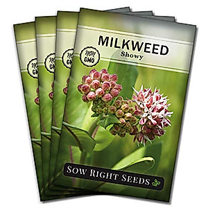 Sow Right Seeds Showy Milkweed Seeds; Attract Monarch and Other Butterflies to Your Garden; Non-GMO Heirloom Seeds; Full Instructions for Planting, Wonderful Gardening Gift (4)