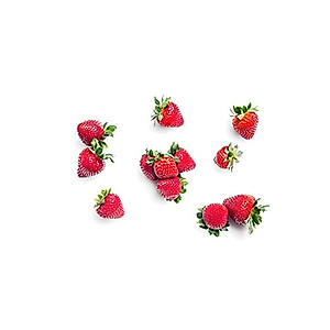 Prophy Magic Oral Anesthetic Gel in Syringe by GINGICaine, 1.2ml Strawberry Flavored Oral Anesthetic Gel for Smooth Local Anesthetic Application