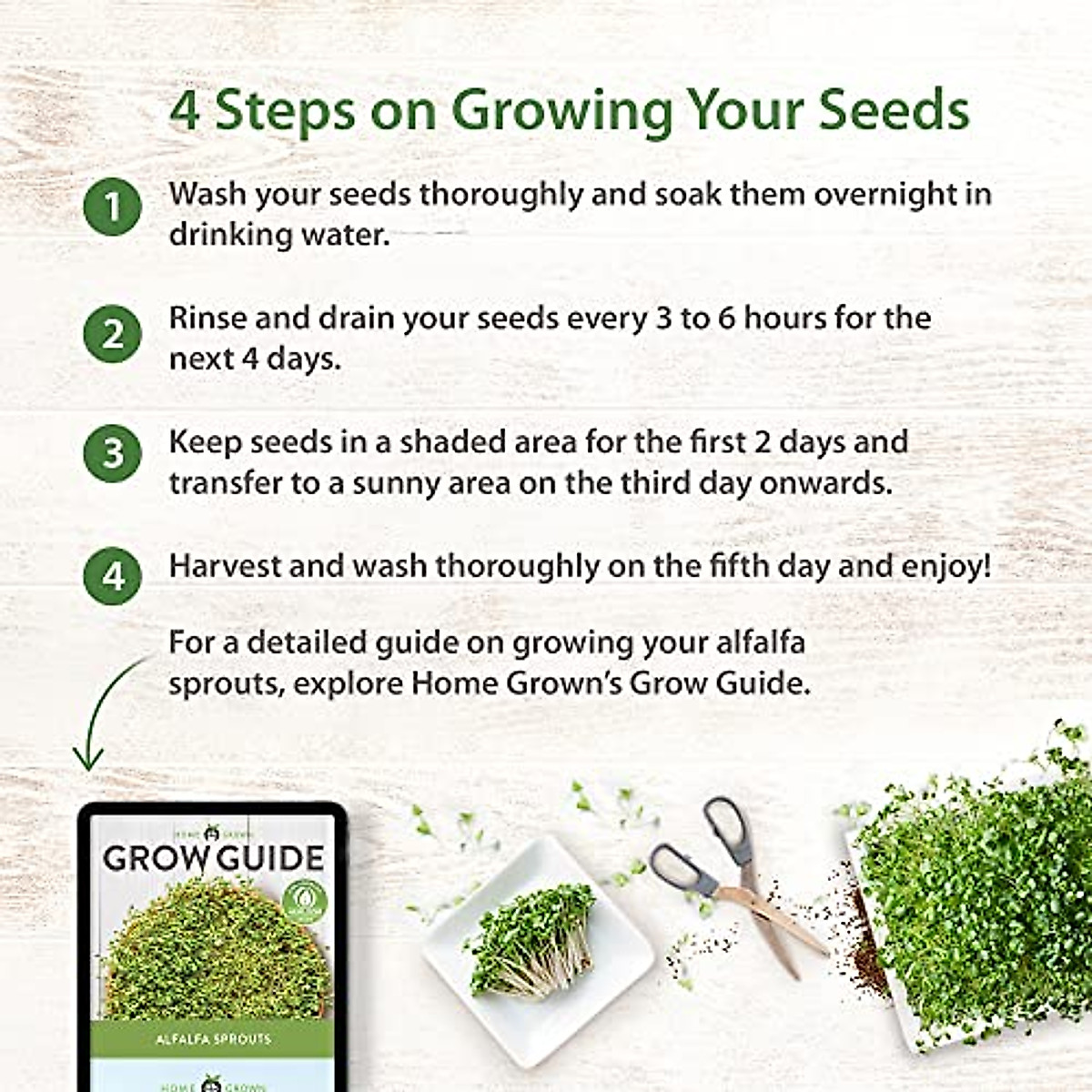 Alfalfa Sprout Seeds for Sprouting and Microgreens (16oz) Premium USA Alfalfa Seeds Indoor or Outdoor Planting Sprouts | Non-GMO | Micro Greens Seed in Resealable Bag