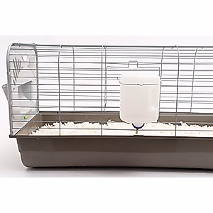 Lixit 64oz / Half Gallon Weather Resistant Water Bottle for Rabbits and Other Small Animals. (Pack of 1)