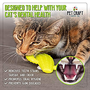 Pet Craft Supply Cactus Interactive Cat Toy Chew Toy Teeth Cleaning Bite Resistant 100% Natural Rubber with Bonus Catnip and Silvervine Bags for Kittens and Adult Cat