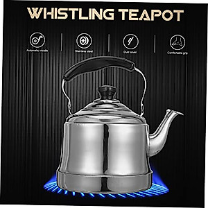 GRIRIW 1pc Stainless Steel Kettle Vintage Teapot Teapot Espresso Machines for Home Filter Teapot Strainer Stove Top Teapot Stovetop Tea Kettle Iced Tea Maker Coffee Filters Silver