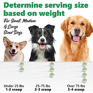 Dog Teeth Cleaning Powder, Pet Dental Care Powder for Dogs & Cats Breath Freshener Powder with Probiotics for Bad Breath, Plaque, Tartar Remover, Dog & Cat Dental Care Supplies - No Brushing Needed