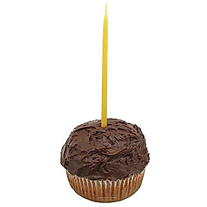 Beeswax Candle Works, 5-Inch Birthday Candles (Pack of 24) 100% USA Beeswax