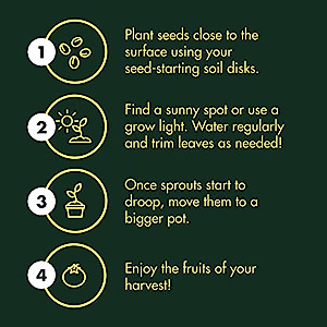 Indoor Vegetable Garden Starter Kit with Tomato Seeds for Planting - Tomato Garden Grow Kit, Non GMO Heirloom Seeds, Wood Gift Box, Soil, Pots, Plant Markers, DIY Home Gardening Gifts for Plant Lovers
