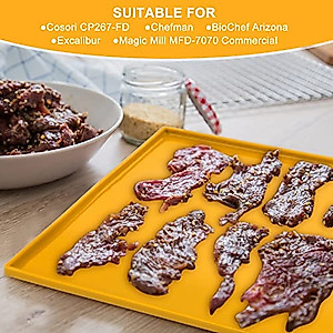 Vesici Set of 8 Silicone Dehydrator Sheets 12.2 x 10.2 Inch, Non Stick Dryer Mats with Edge High Temperature Resistance Fruit Trays Reusable Dehydrator Trays for Fruits Meat Vegetables Herbs(Orange)