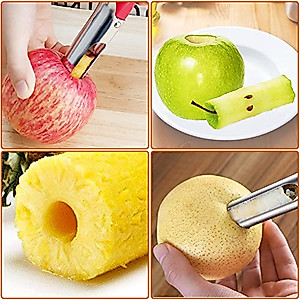 Premium Apple Corer Tool, Apple Corer Remover for Apple, Pear, Bell Pepper, Coconut, Pineapple, Easy to Use Durable Portable Apple Cutter