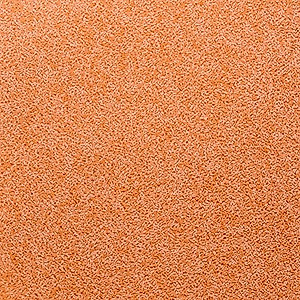 Ocean Nutrition Instant Baby Brine Shrimp 0.7-Ounces (20 Grams) Jar