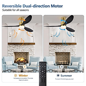 52 Inch Ceiling Fans with LED Light Remote Control, Modern Ceiling Fan with Reversible DC Motor, 3 Blades and 3 Color Temperature, LED Light Chandelier for Bedroom(Gold & Black)