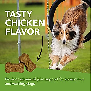 VetriScience Glycoflex 2 Hip and Joint Supplement for Working and Active Dog Breeds, Chicken, 120 Chews - Joint and Mobility Support for Competitive and Maturing Dogs