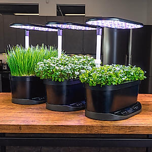 AeroGarden MicroGreens Kit for Bounty Gardens - Includes Seeds, Tray, and AeroFelt