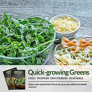 Survival Garden Seeds - Arugula Seed for Planting - Packet with Instructions to Plant and Grow Garden Rocket Green Leafy Vegetables in Your Home Vegetable Garden - Non-GMO Heirloom Variety - 1 Pack