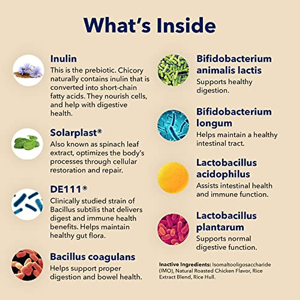 Honest Paws Probiotics for Dogs Made in USA - Dog Probiotic Powder with Prebiotic for Healthy Gut, Digestive and Immune Support - Digestive Enzymes with Chicken Flavor (30 Sticks)