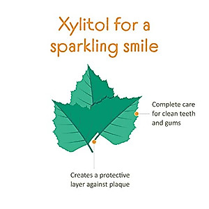 Himalaya Botanique Kids Toothpaste, Orange Flavor to Reduce Plaque and Keep Kids Brushing Longer, Fluoride Free, 4 oz, 2 Pack