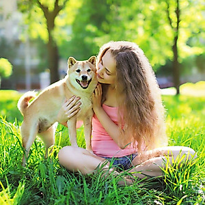 Merrick Fresh Kisses Oral Care Chews Dental Dog Treats with Coconut - Small Snacks for Pups 15-25 Lbs (9 Count) - Plus Rope Toy and Fun Animal Facts Booklet Bundle