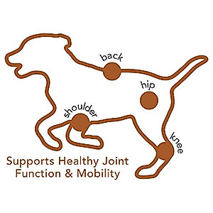Vet's Best Hip & Joint Soft Chew Dog Supplements | Formulated with Glucosamine & Chondroitin to Support Dog Joint & Cartilage Health | 30 Day Supply