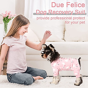 Due Felice Dog Recovery Suit Female Male Dog Onesie for Surgery, Fit for Small Dog Breed Dog Body Suits After Surgery Dog Surgical Suit Pink Swan/S